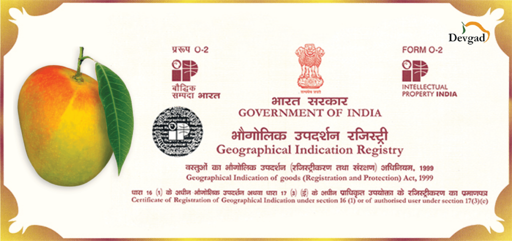 Blog – Devgad Mango